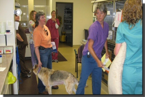 Welcome to The Kansas Search and Rescue Dog Association