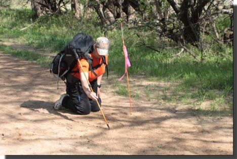 Welcome to The Kansas Search and Rescue Dog Association